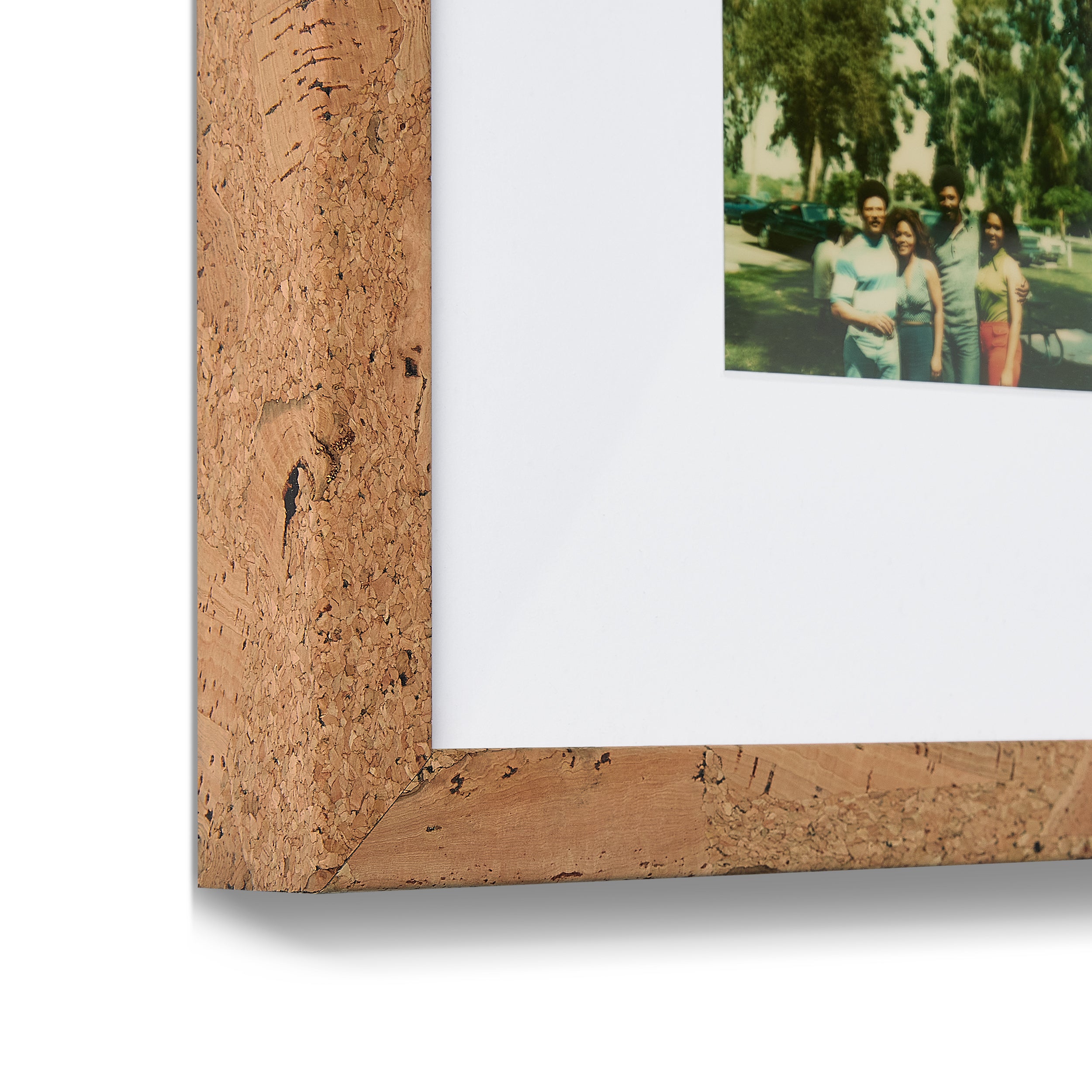 Cork Frame & Versatile Picture Display – Framebridge