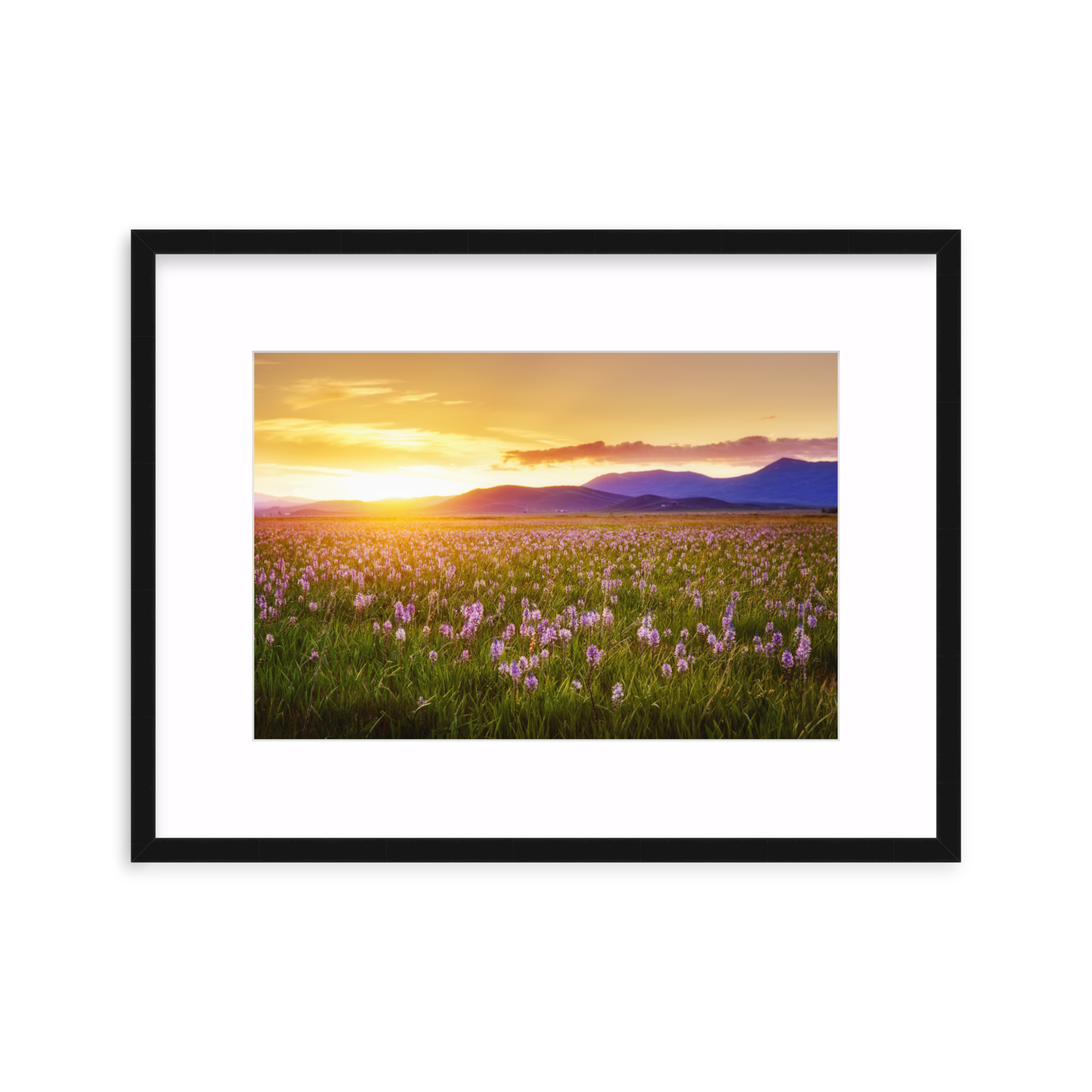 Camas Prairie – Framebridge