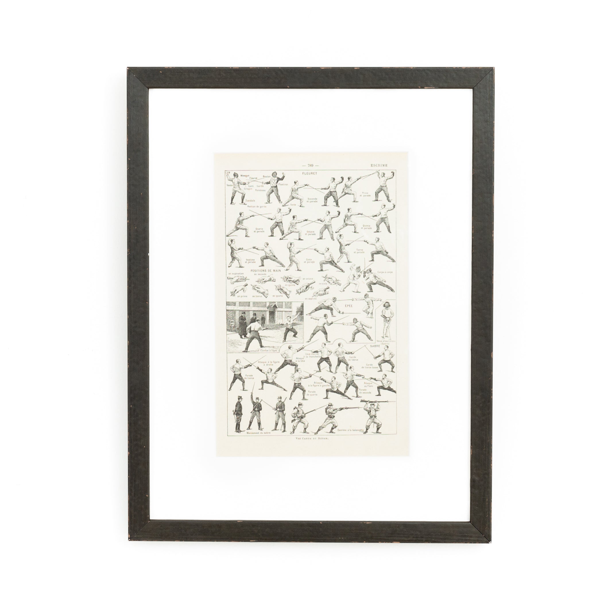 Wren – Framebridge