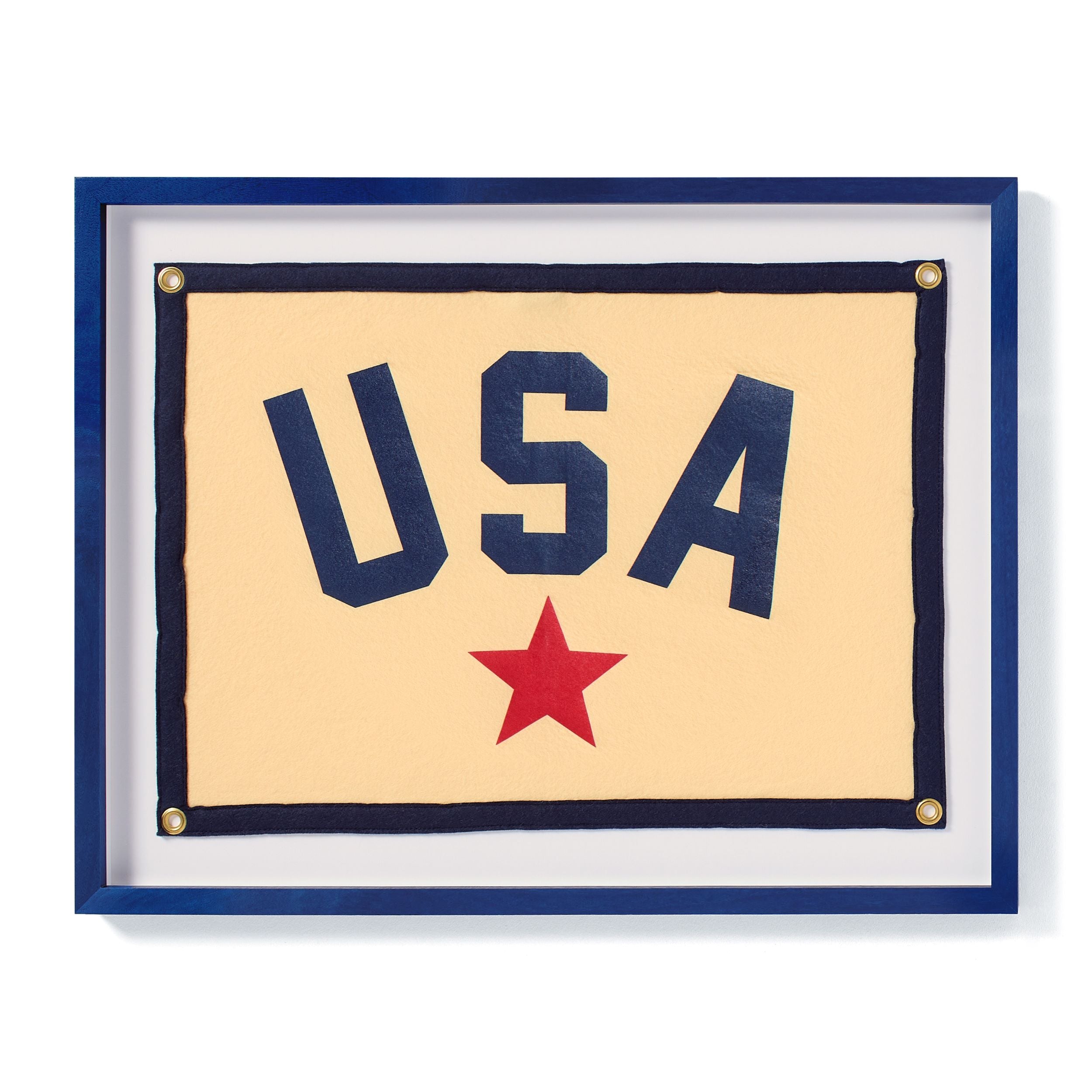 Framed Flag in Indigo Walnut Gallery with a Float Mount – Framebridge