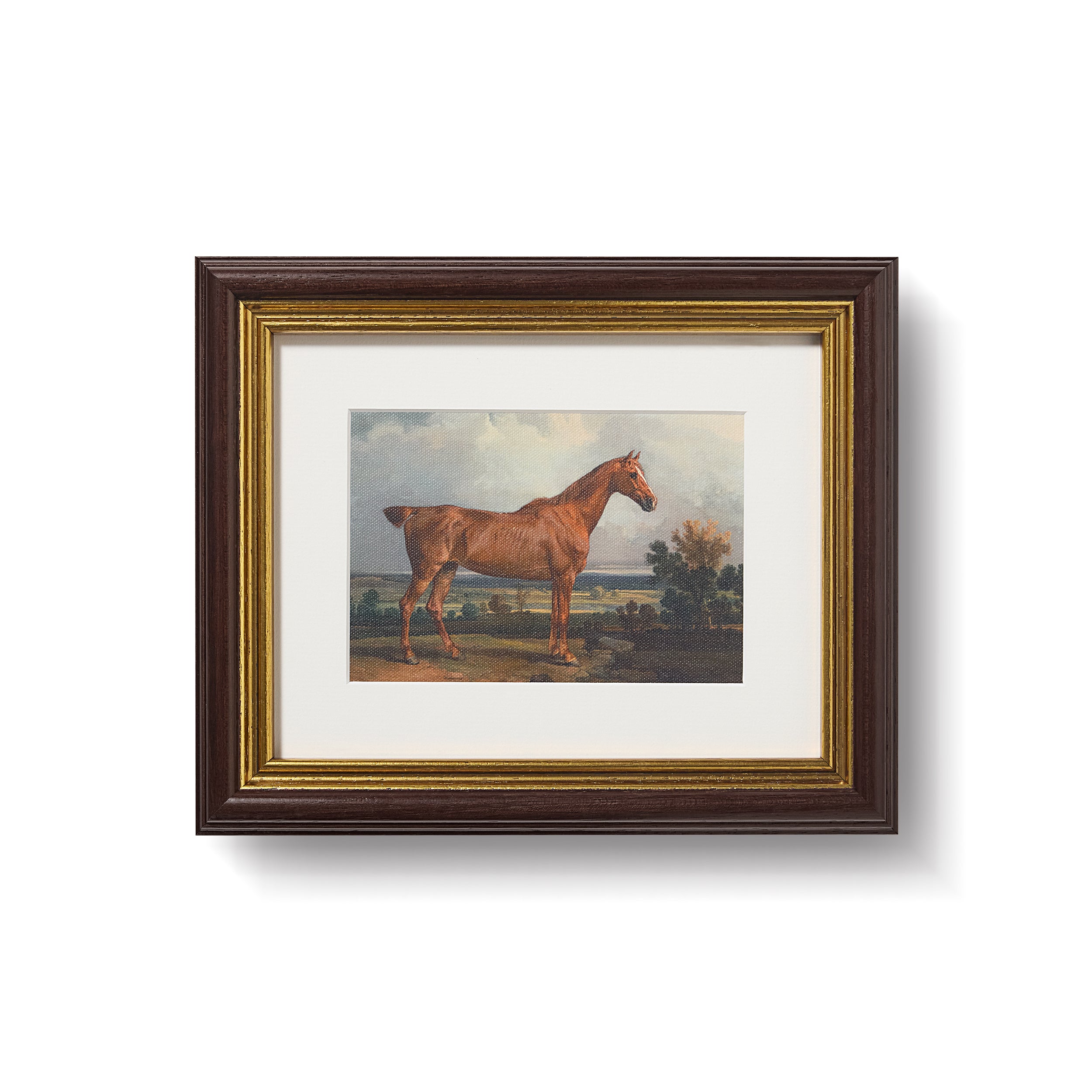 Andover Frame & Elegant Document Display – Framebridge