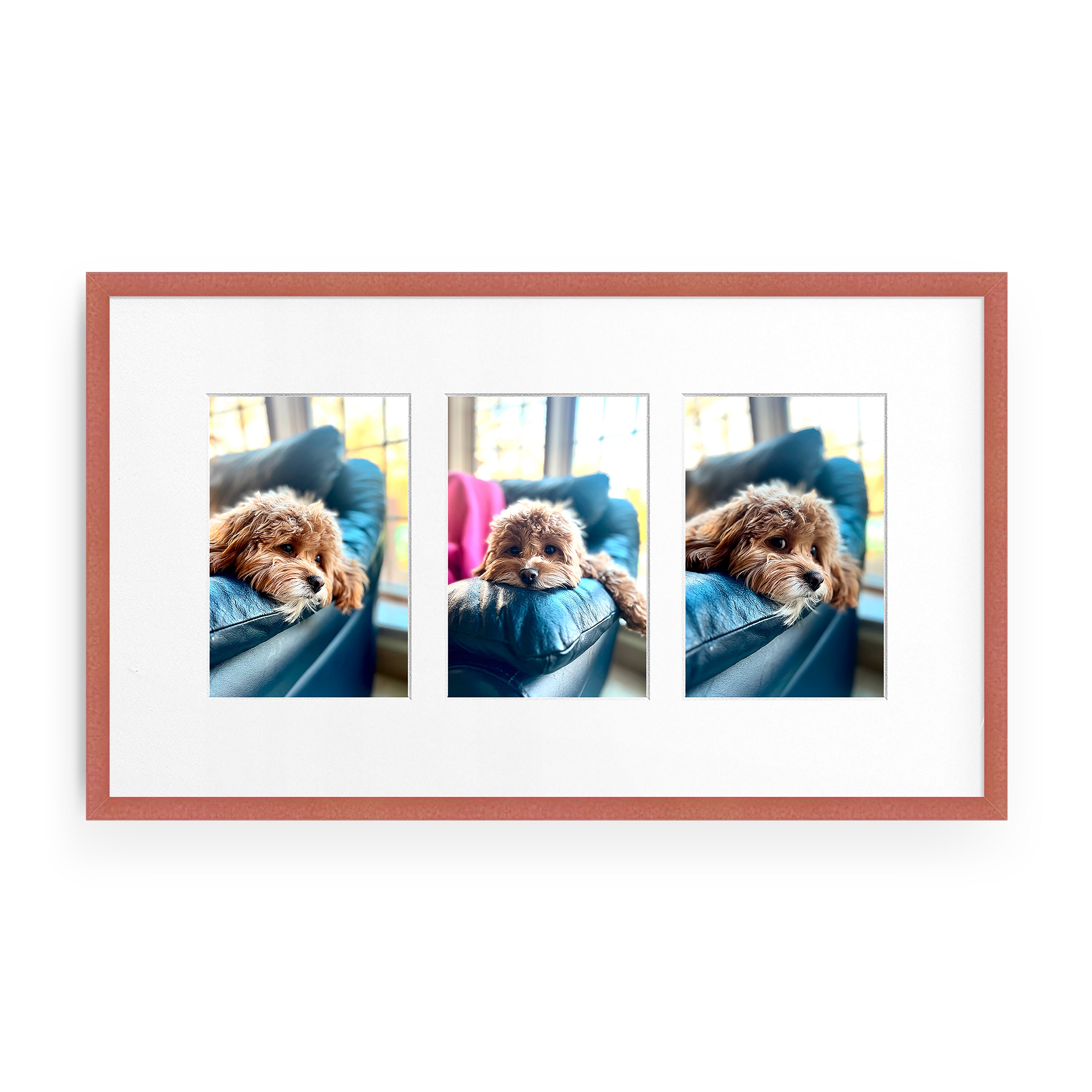 The Horizontal Trio – Framebridge