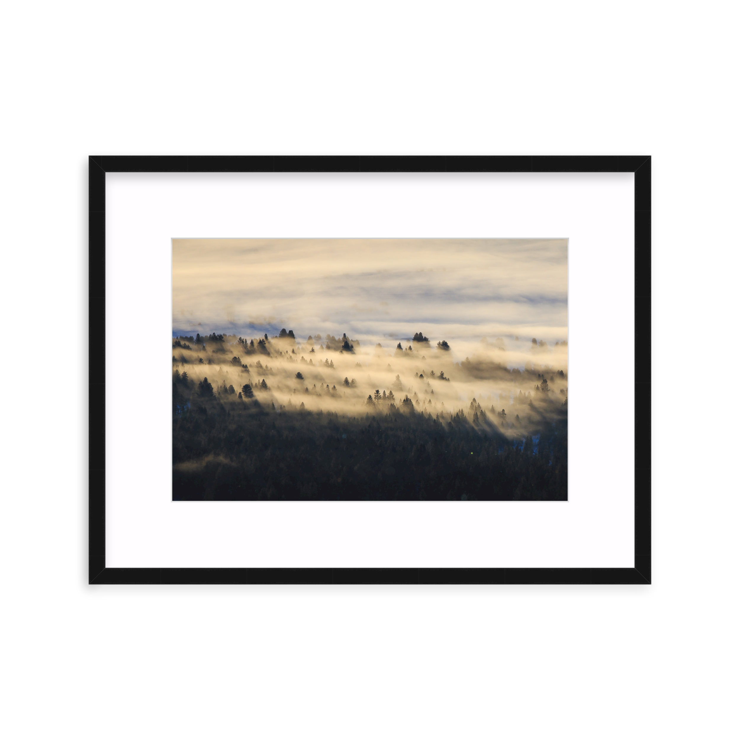 Foggy Valley – Framebridge