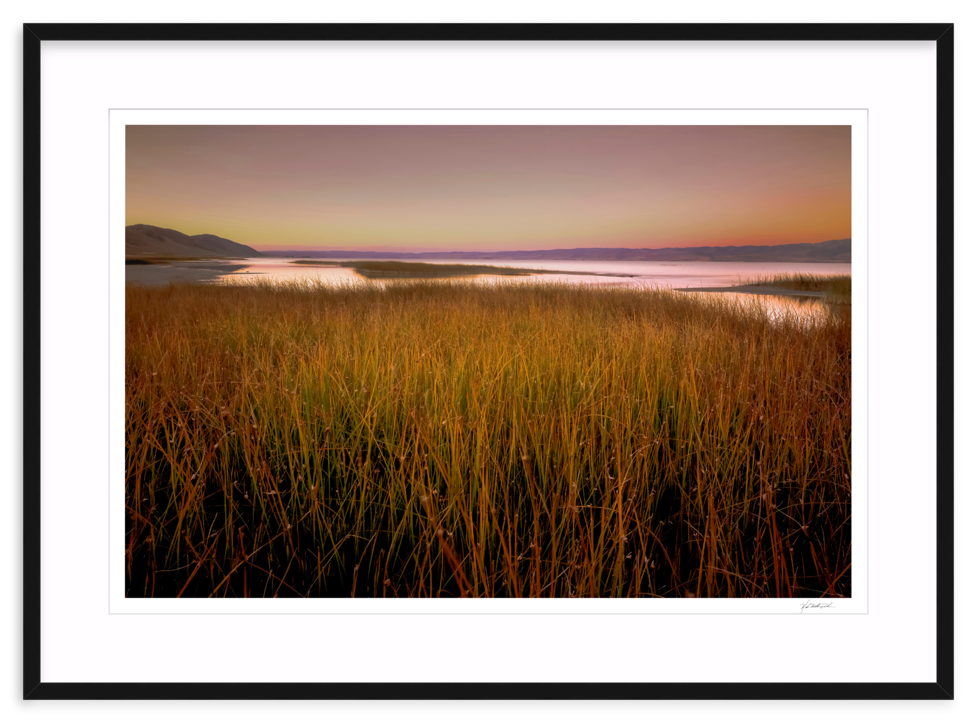 Wetlands – Framebridge