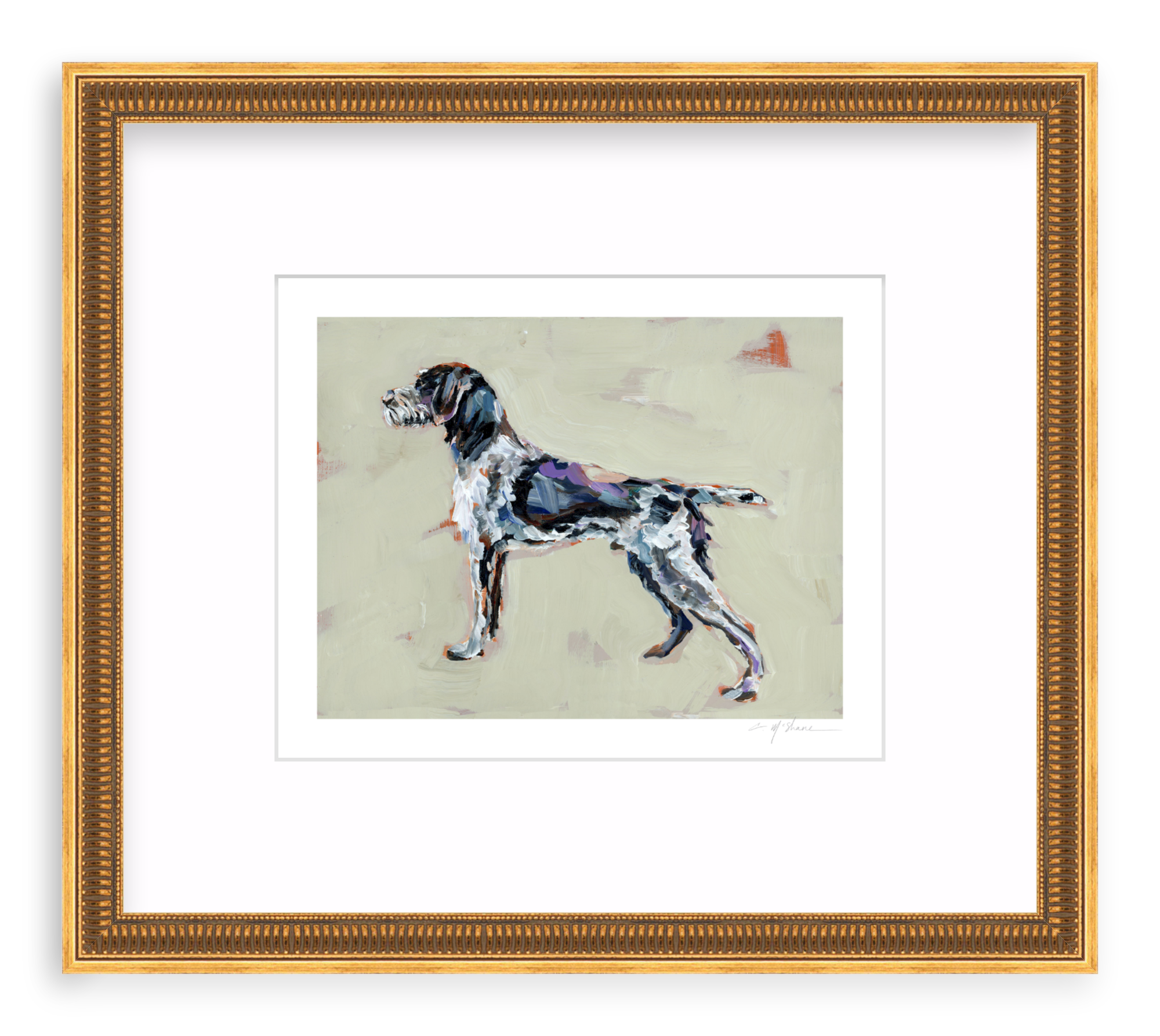 "German Wire-haired Pointer" print – Framebridge