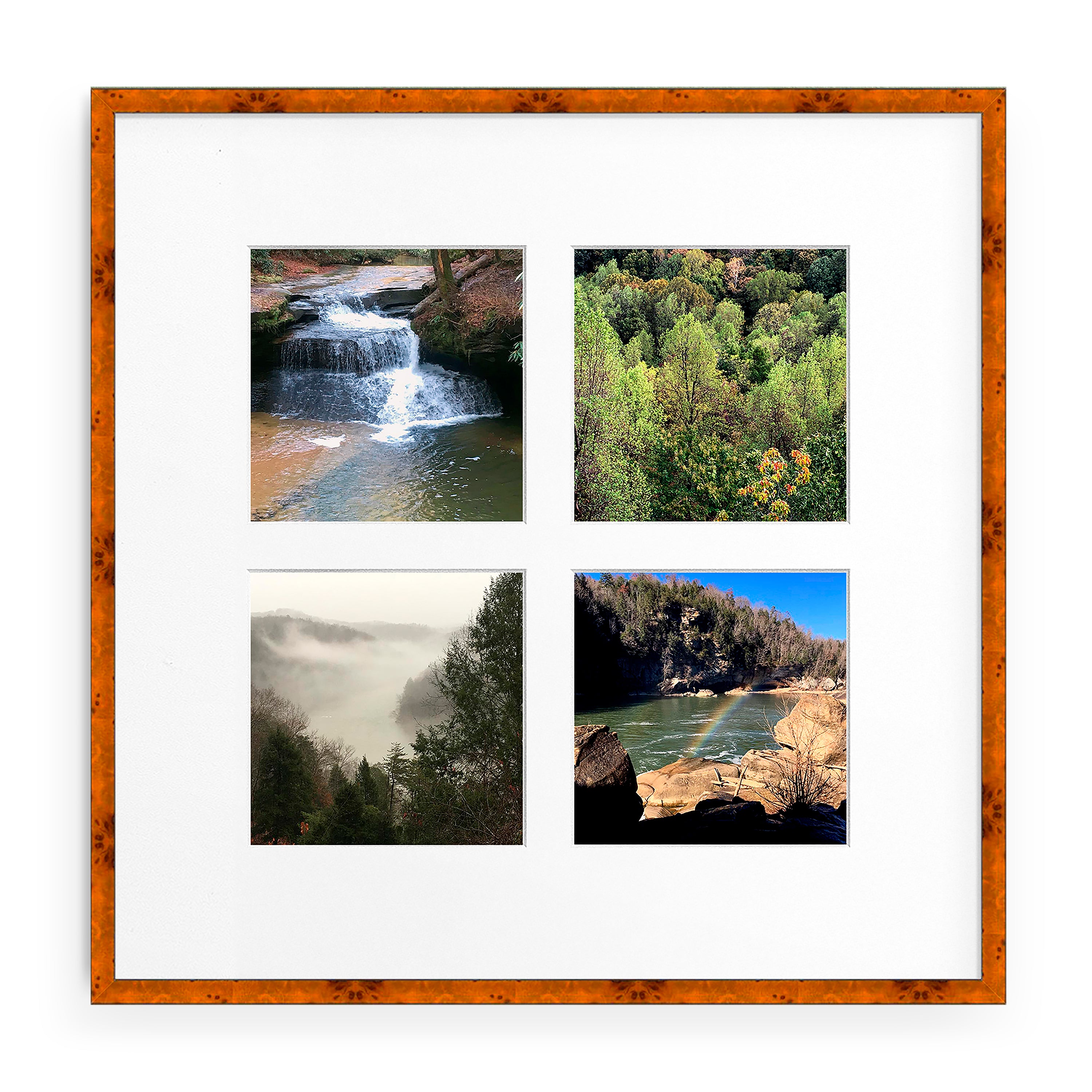 The Quartet – Framebridge