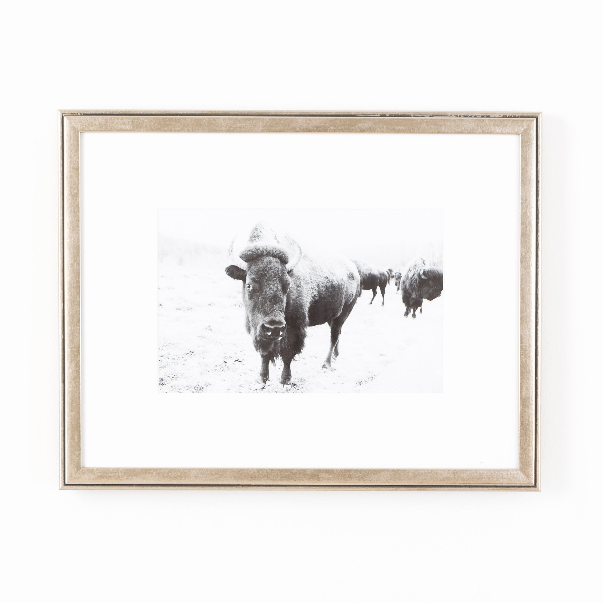 Ventura – Framebridge